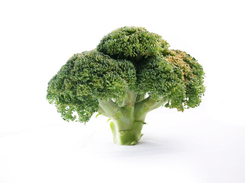 Broccoli stock image. Image of taste, vegetables, food - 16389315