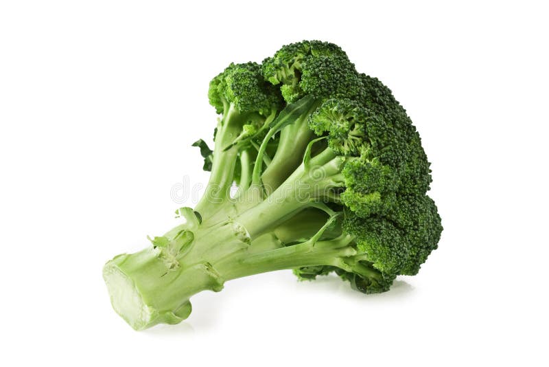 Broccoli stock photo. Image of drink, healthy, eating - 17660264