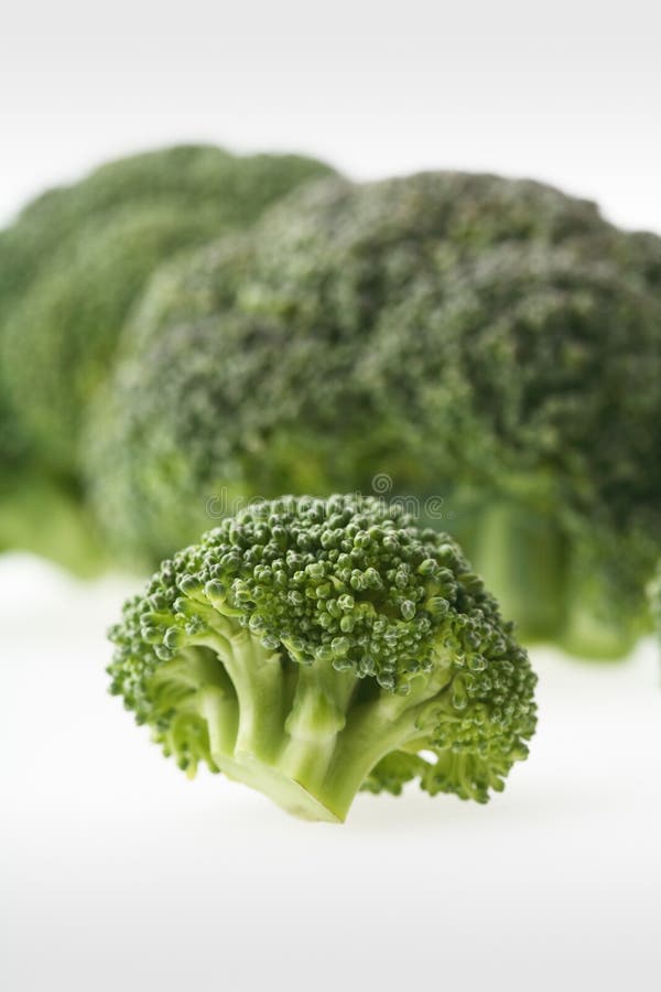Broccoli stock photo. Image of freshness, produce, vegetable - 2079174