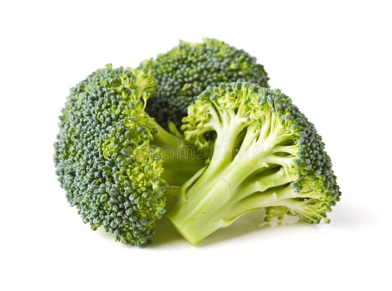 Sage stock image. Image of grass, perfume, plant, perfumed - 21745847