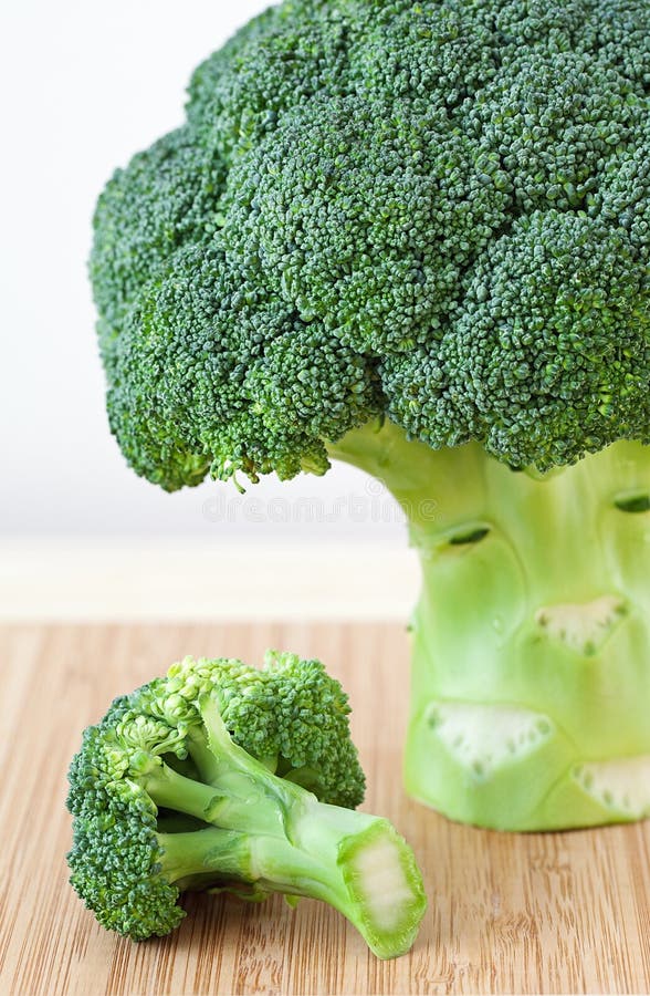Broccoli stock image. Image of broccoli, prepare, chopped - 23126365