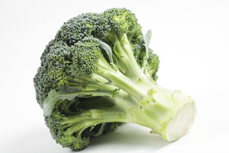 Broccoli stock photo. Image of lifestyle, isolated, eating - 32473244