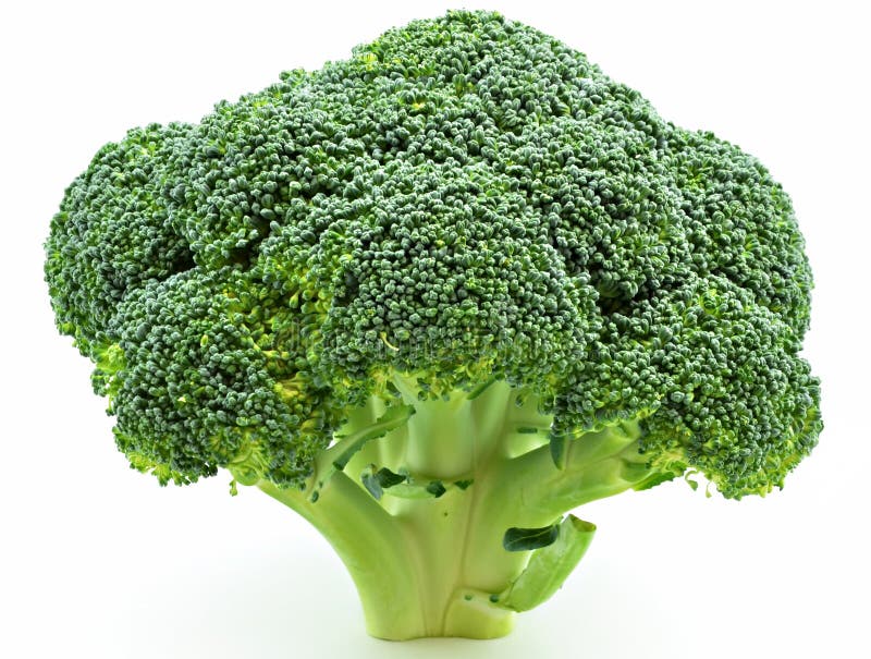 Dislike broccoli stock image. Image of health, upset - 10105633