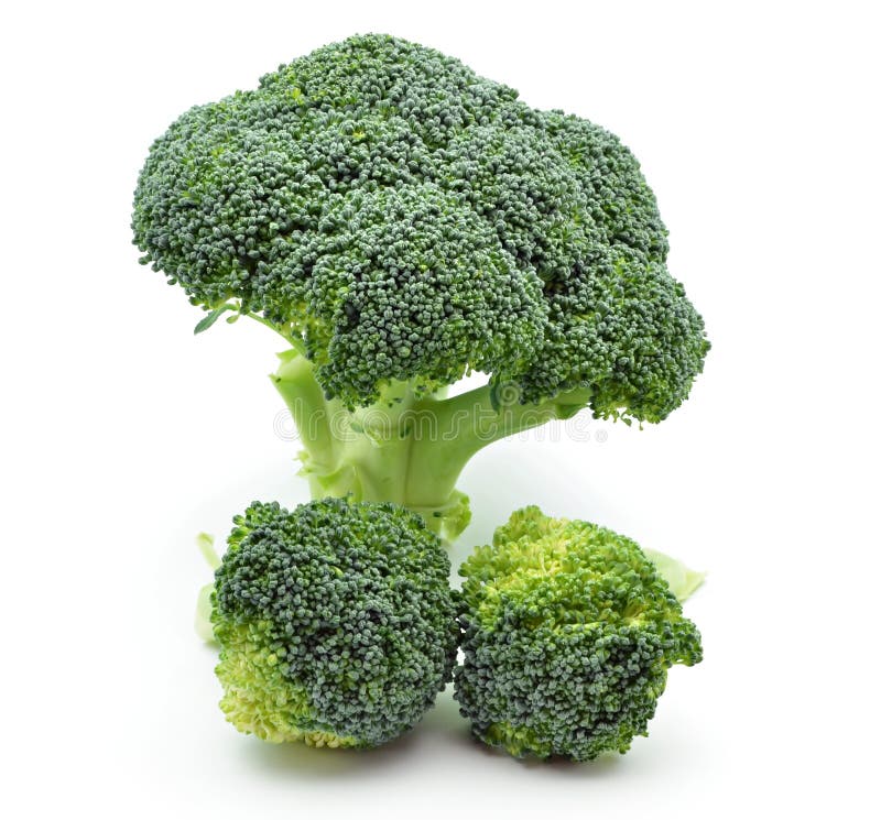 Broccoli stock photo. Image of tasty, health, vitamin - 24060008