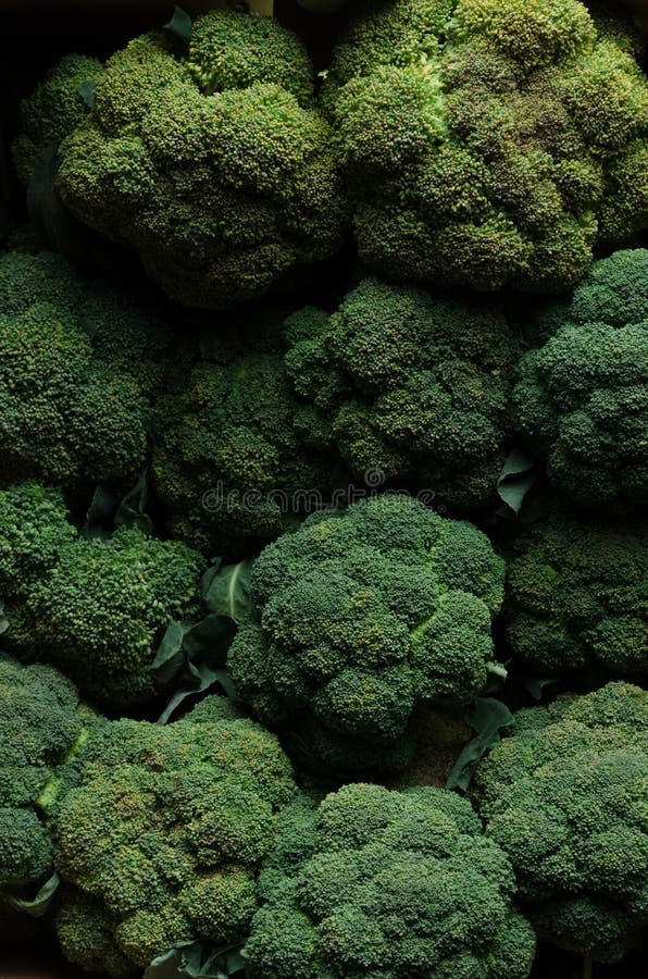 Bunch of Fresh Raw Broccoli Stock Image - Image of green, diet: 240627431