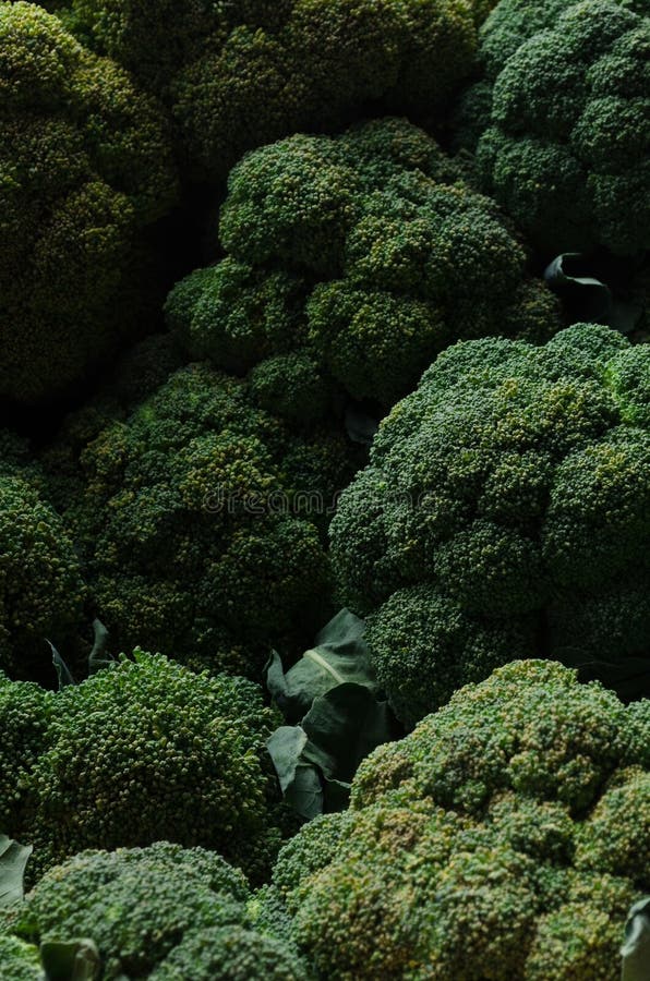 Bunch of Fresh Raw Broccoli Stock Image - Image of vegetable, broccoli ...