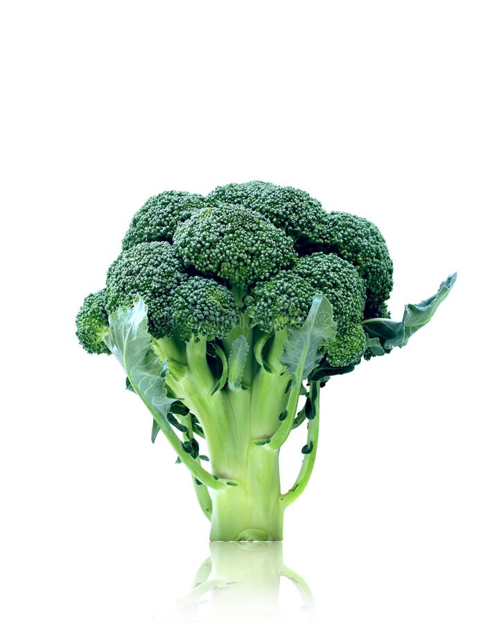 Broccoli stock photo. Image of stalk, healthy, organic - 1775094