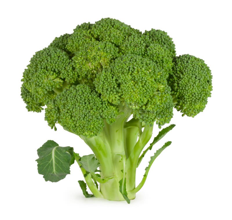 Broccoli photo stock. Image du agriculture, organique - 27594002