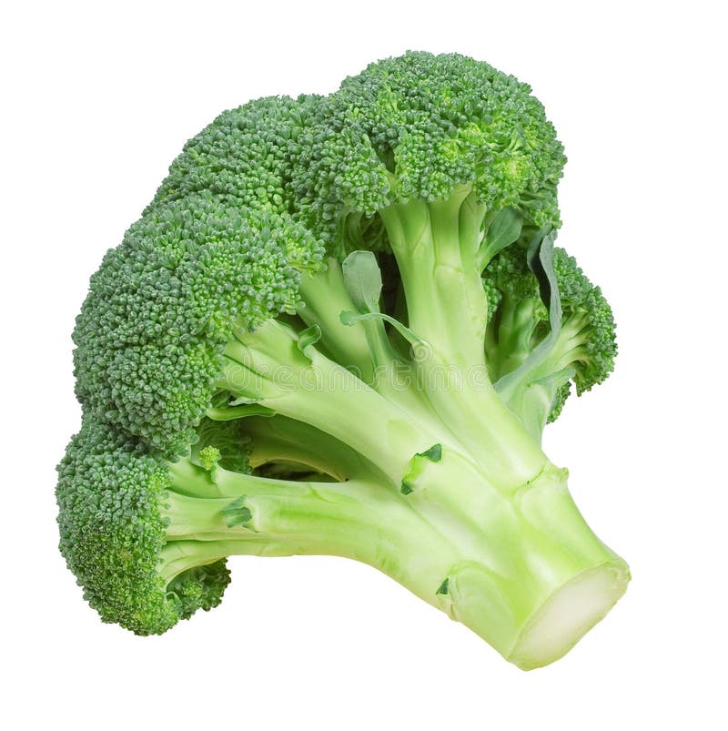 Broccoli stock photo. Image of organic, food, medicine - 4553320