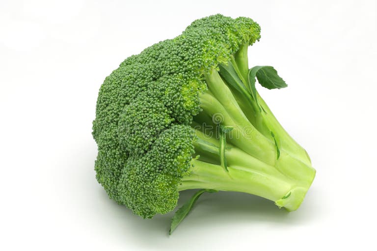 Broccoli stock photo. Image of artificial, broccoli, cooking - 28301592