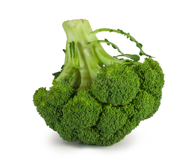 Broccoli stock photo. Image of stem, closeup, healthy - 28528708