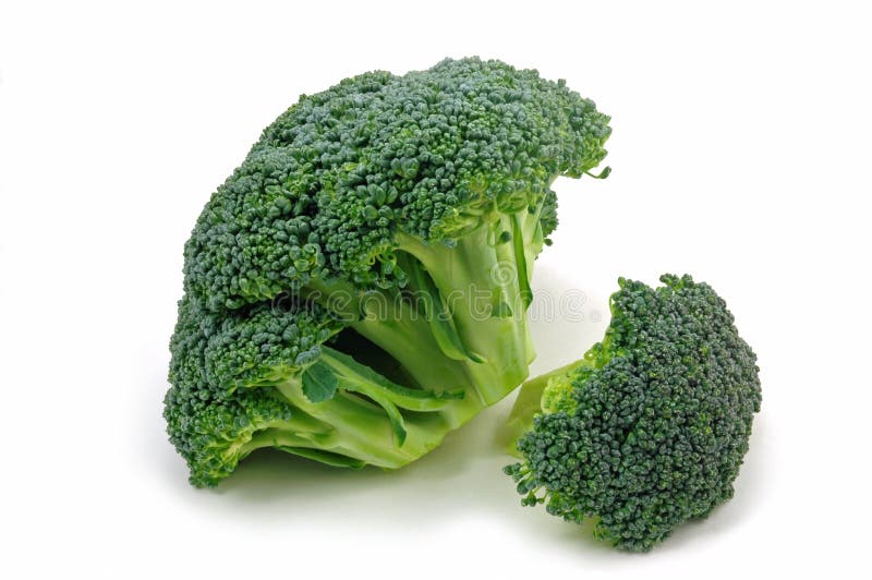 Broccoli stock photo. Image of vegetable, green, head, bunch - 243306