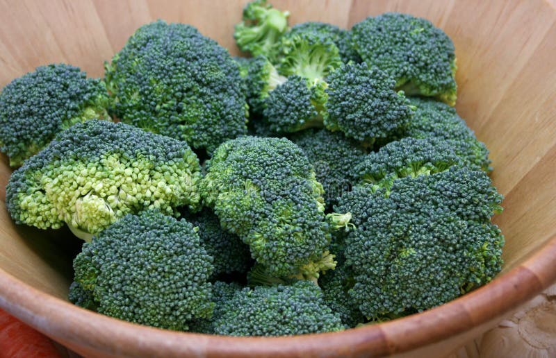 Broccoli Picture. Image: 6679478