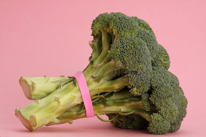 Broccoli stock photo. Image of food, green, ingredient - 7149418