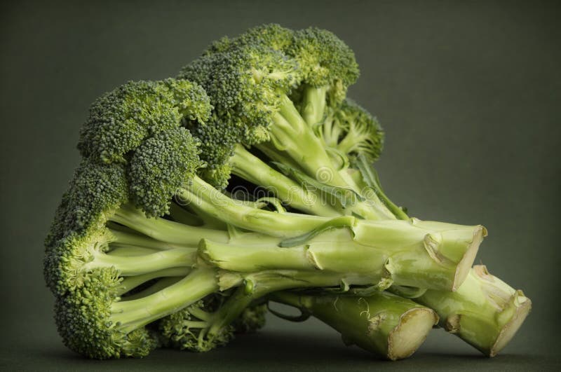 Broccoli stock photo. Image of vegetable, healthy, vegetarian - 7174118