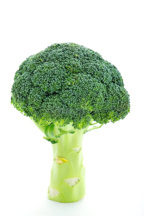 Broccoli stock image. Image of vegetables, healthy, food - 8499769