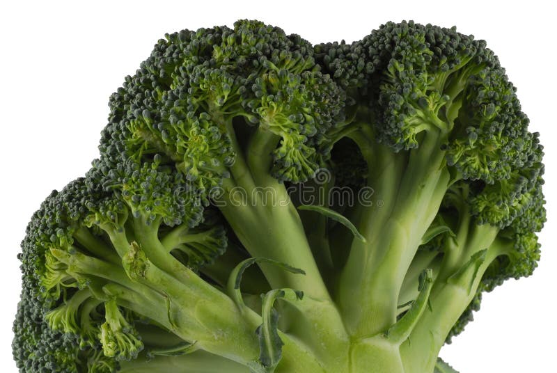 Broccoli stock photo. Image of health, object, greenish - 230332