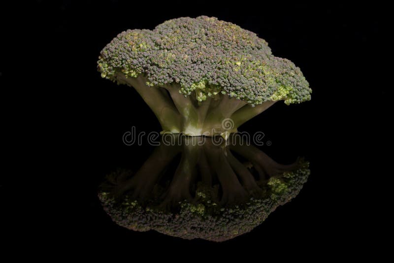 Broccoli on Black Background Stock Image - Image of organic, closeup ...