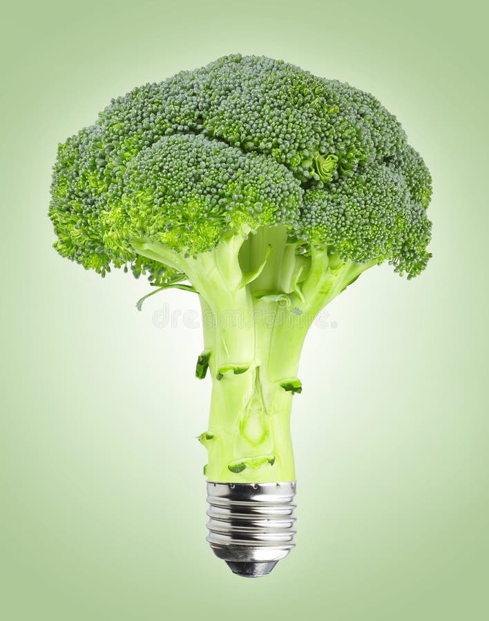 Broccoli with bulb stock photo. Image of green, vegetable - 22095172