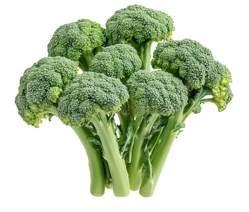 Broccoli Bunch - Fresh Green Vegetable Isolated on White Stock Image ...