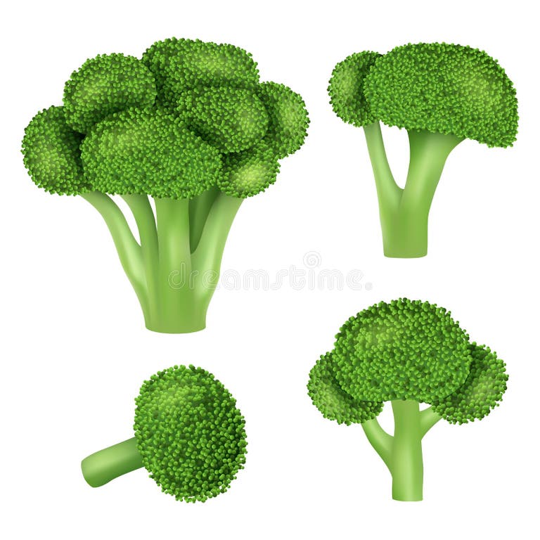 Broccoli Vector Icon Stock Illustrations – 21,022 Broccoli Vector Icon ...