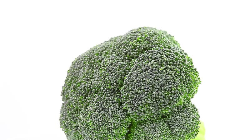 Broccoli Cabbage Rotates, Branch of Inflorescence Lying on Its Side ...