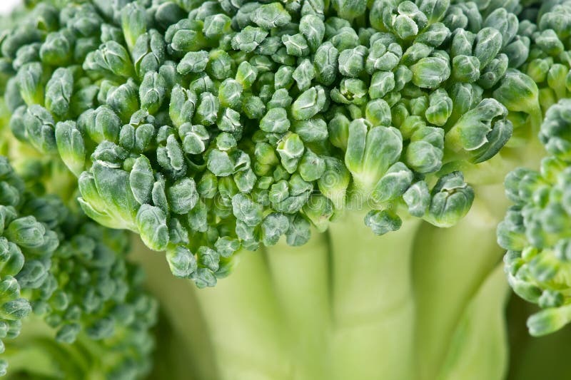 Broccoli close-up stock image. Image of vegetarian, ingredient - 24676883