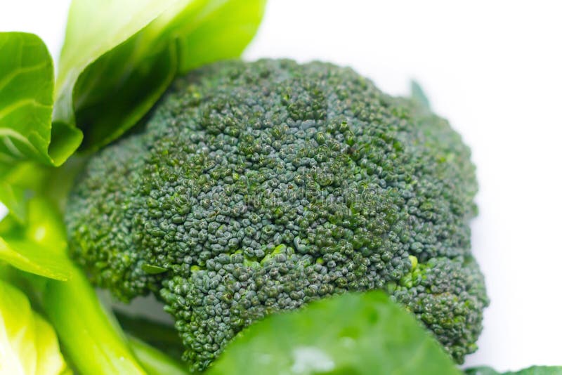 Broccoli zoom stock image. Image of backdrop, garden, gourmet - 5855839