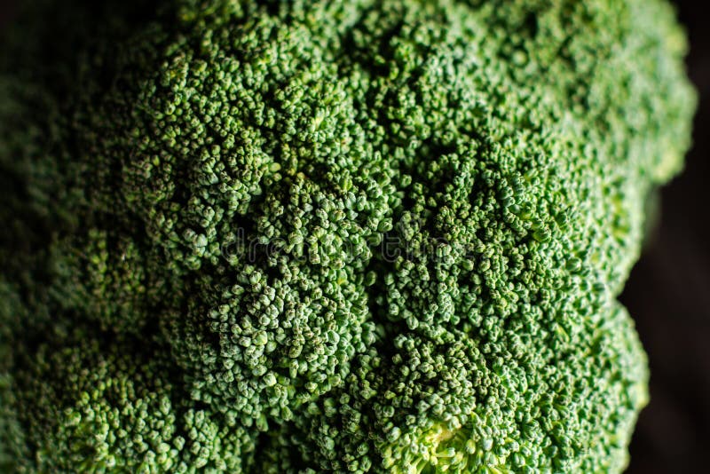 Broccoli Close-up on a Dark Background. Broccoli Cabbage Macro Shot ...