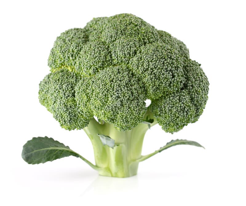 Broccoli stock photo. Image of broccoli, eating, nutrition - 7020194