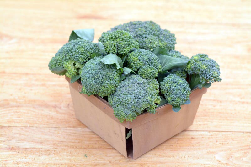 Broccoli stock image. Image of diet, white, fresh, case - 42603743