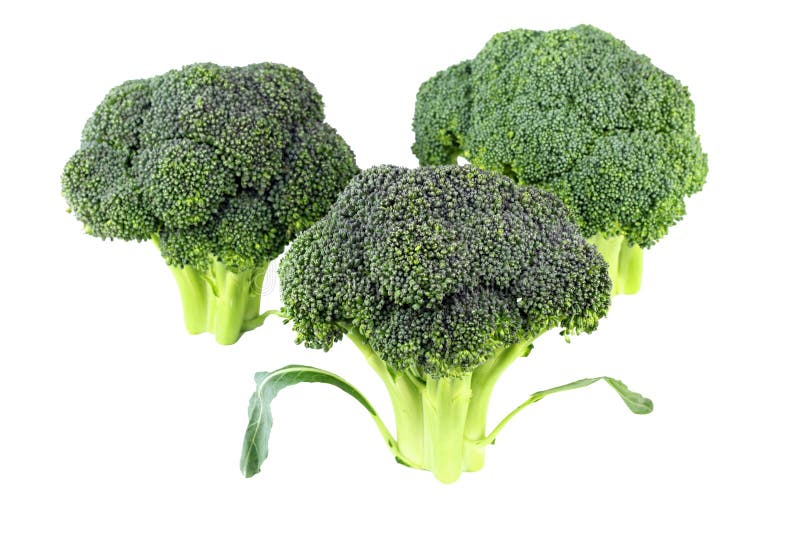 Broccoli Crowns stock image. Image of broccoli, cruciferous - 18139065