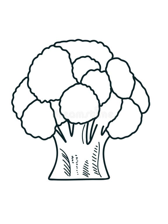 Broccoli Doodle in Cartoon Style Stock Vector - Illustration of fresh ...