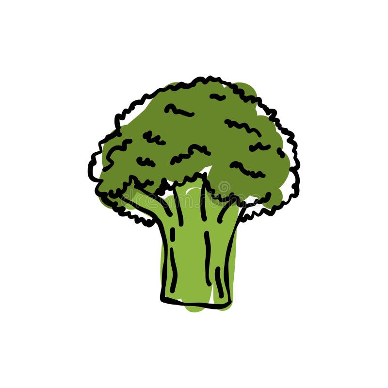 Broccoli Doodle Icon, Vector Color Line Illustration Stock Vector ...