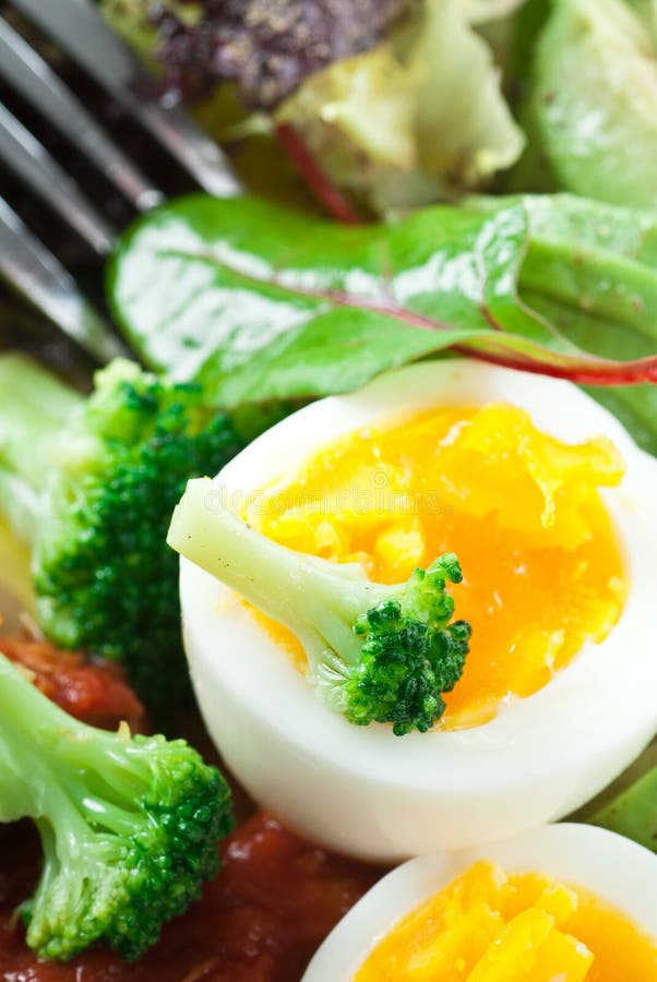Broccoli Egg Meal stock photo. Image of cooked, broccoli - 22784048