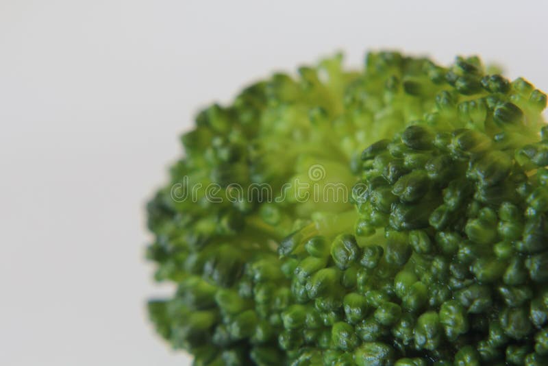 Broccoli floret stock photo. Image of white, healthy - 92981932