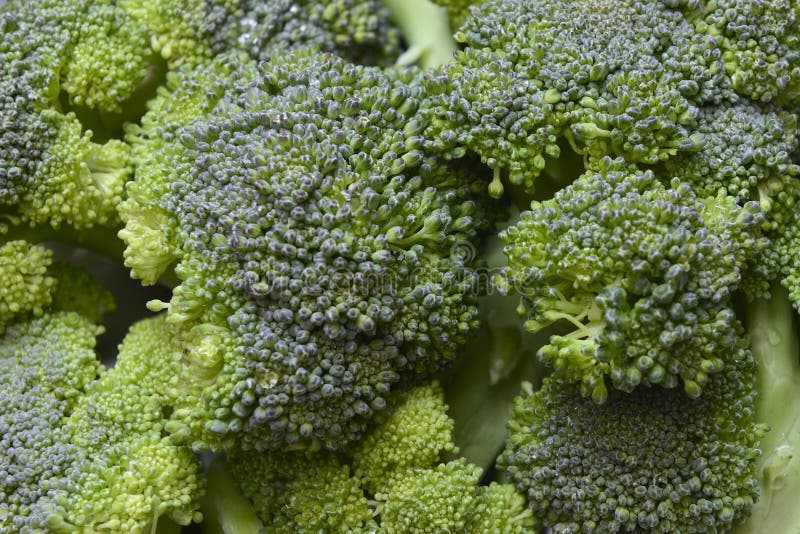 Broccoli stock image. Image of pattern, abstract, healthy - 42190683