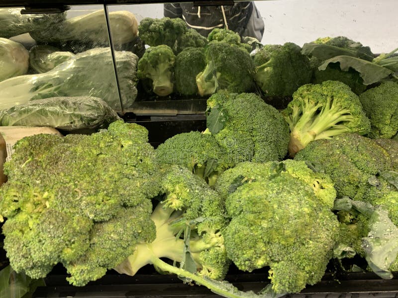 Broccoli fresh vegetables stock photo. Image of garden - 191057192