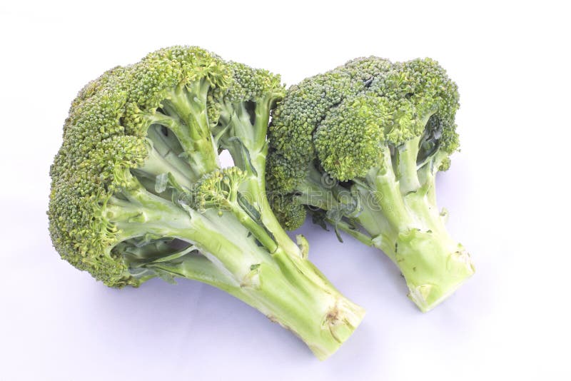 Broccoli stock photo. Image of organic, broccoli, freshness - 51818320