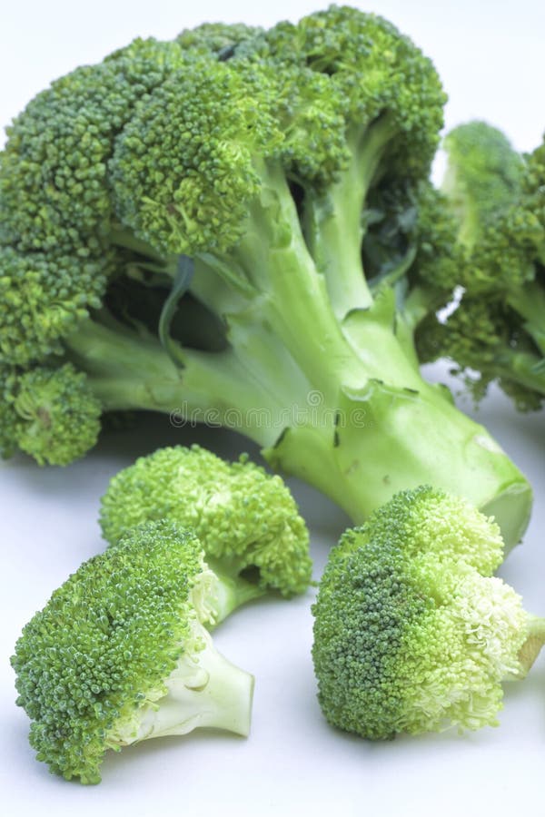 Broccoli stock photo. Image of copy, broccoli, white - 51997312