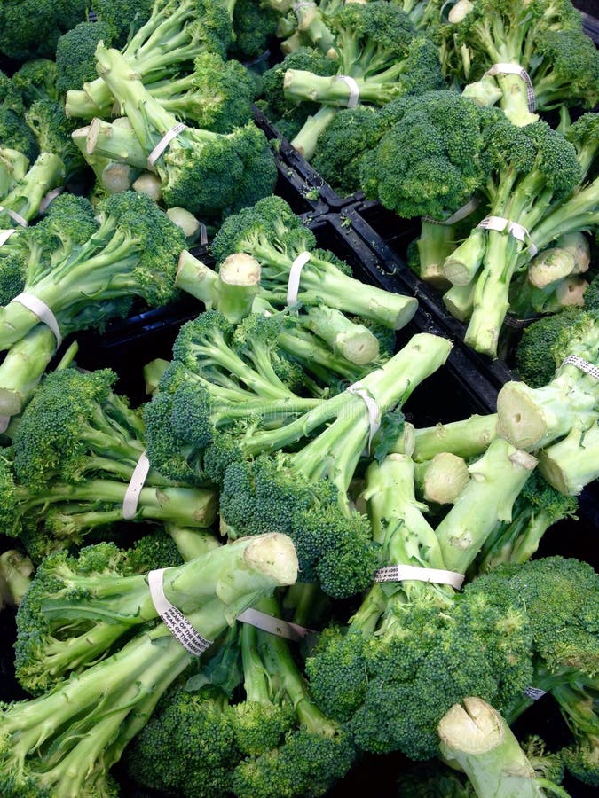 Broccoli stock image. Image of eating, fish, group, healthy - 59570637