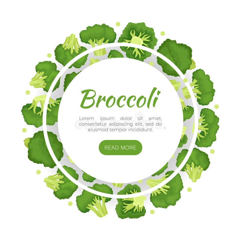 Broccoli Green Vegetable Design with Cabbage Head Vector Template Stock ...