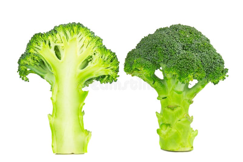 Broccoli stock image. Image of healthy, ingredient, vegetables - 49465259