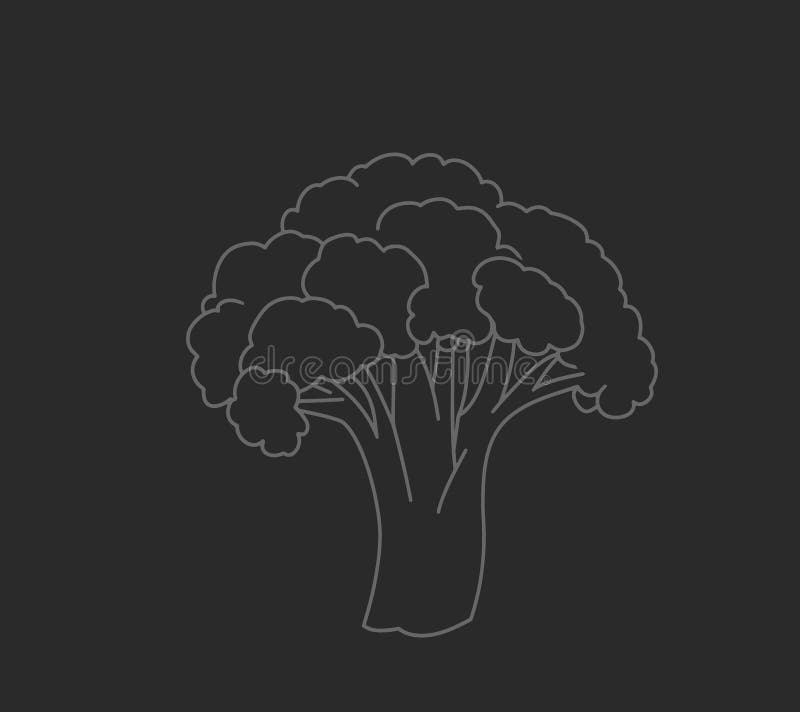 Broccoli Hand-drawn Illustration Stock Vector - Illustration of fresh ...