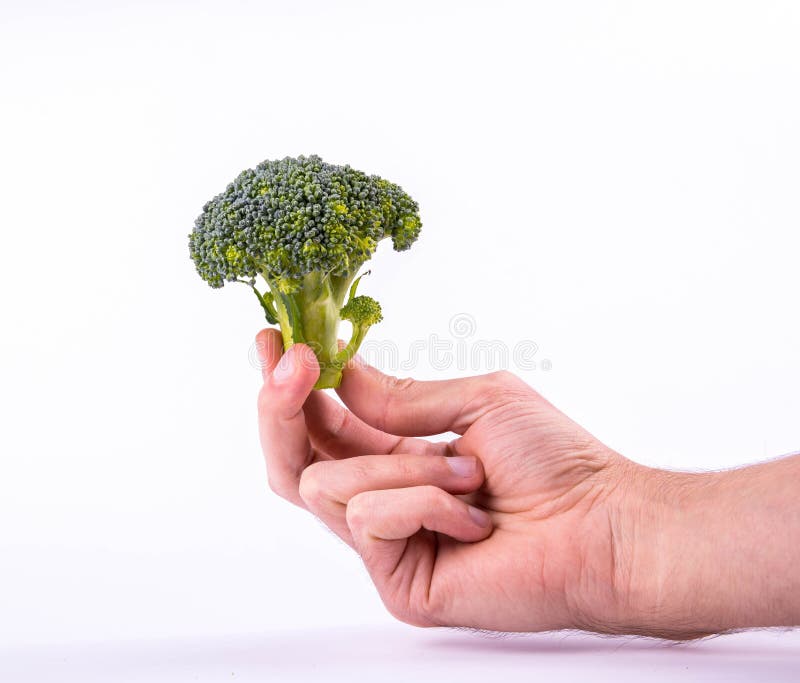Broccoli in hand stock photo. Image of food, colors, green - 46056506