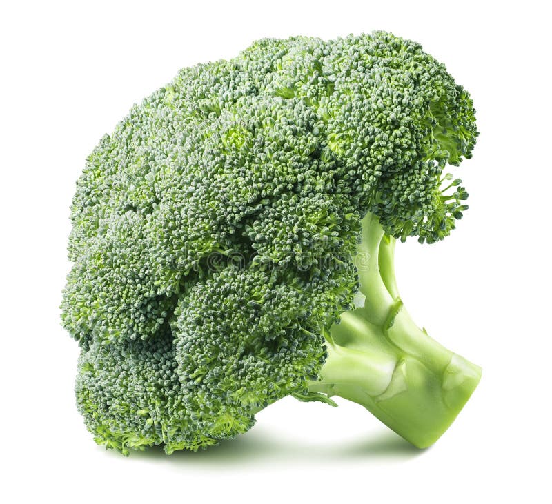 Broccoli Head Side Isolated on White Background 2 Stock Image - Image ...