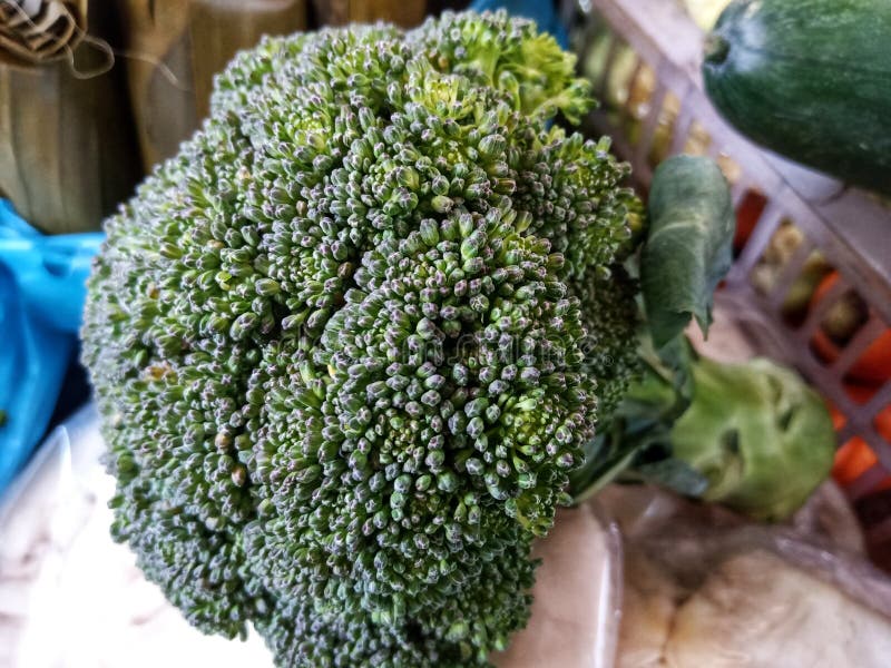 Broccoli Healthy Vegetable on Market Stock Photo - Image of crop ...