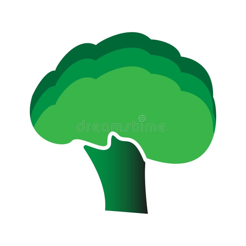 Broccoli icon . Flat style stock vector. Illustration of natural ...