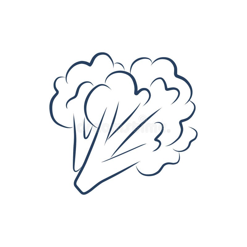 Broccoli Icon. Broccoli Vegetable Symbol Template for Graphic and Web ...