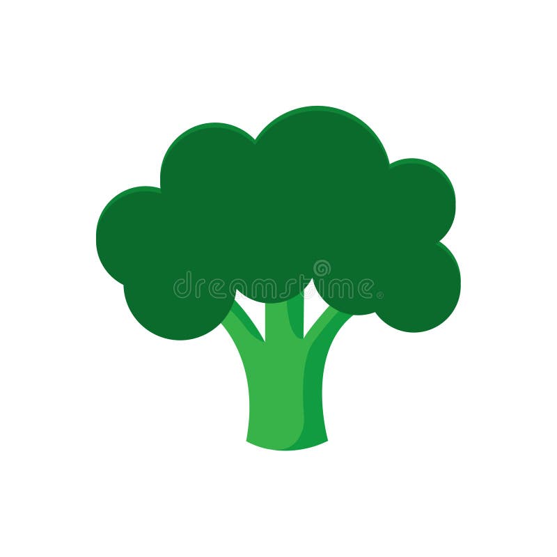 Broccoli Icon on a White Background, Vector Illustration Stock Vector ...